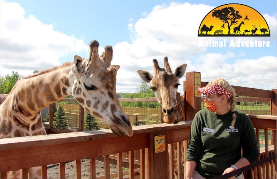 Animal Adventure Park - Home to 'April the Giraffe' & others - RV Travel