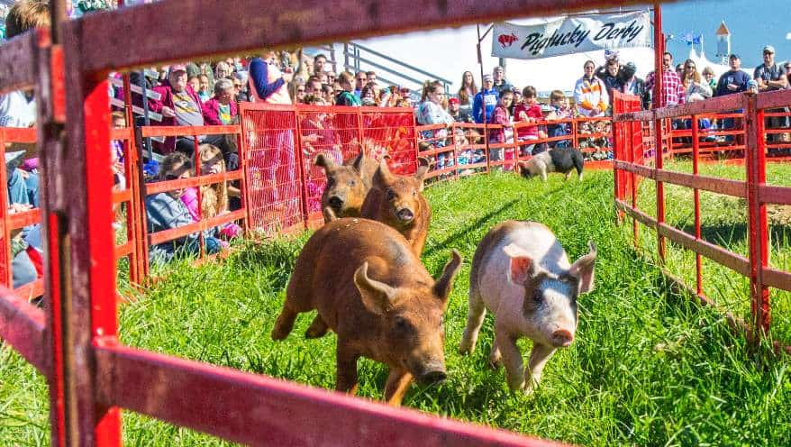 Popular autumn harvest festivals - RV Travel