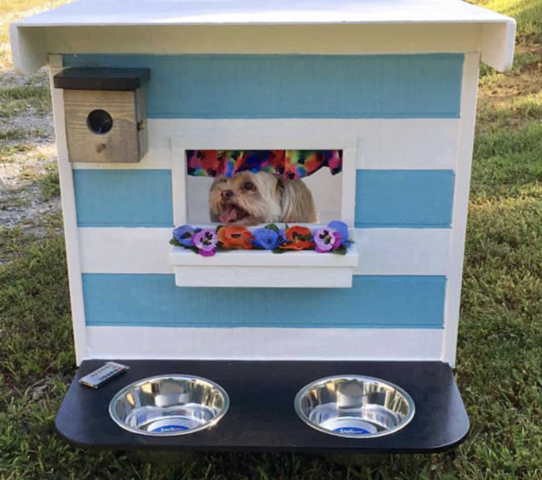 Dogs show off their cute little RV doggie houses - RV Travel