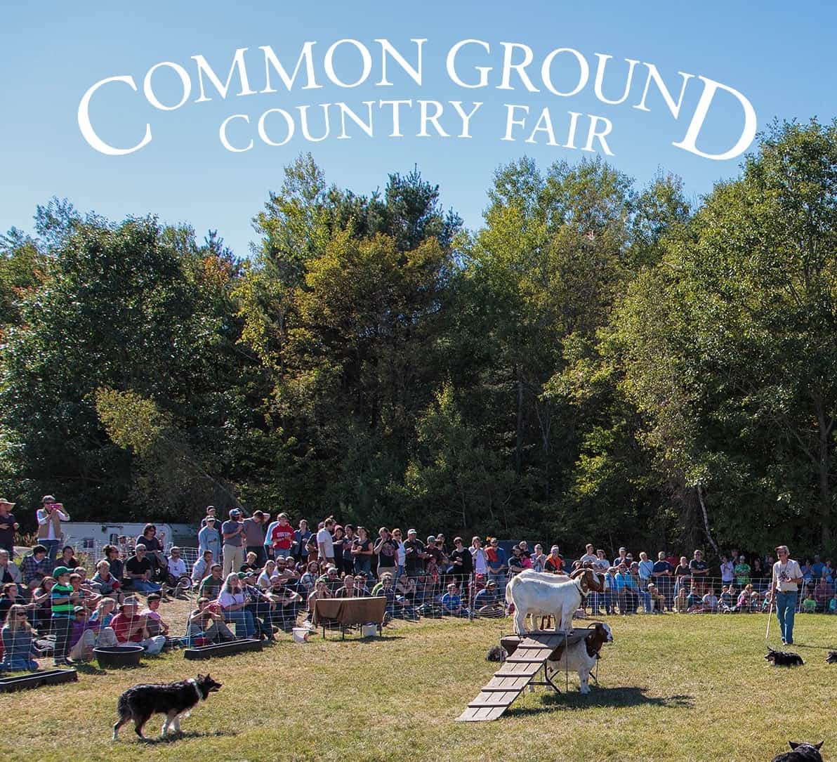 Autumn festivals are popular RV family destinations - RV Travel