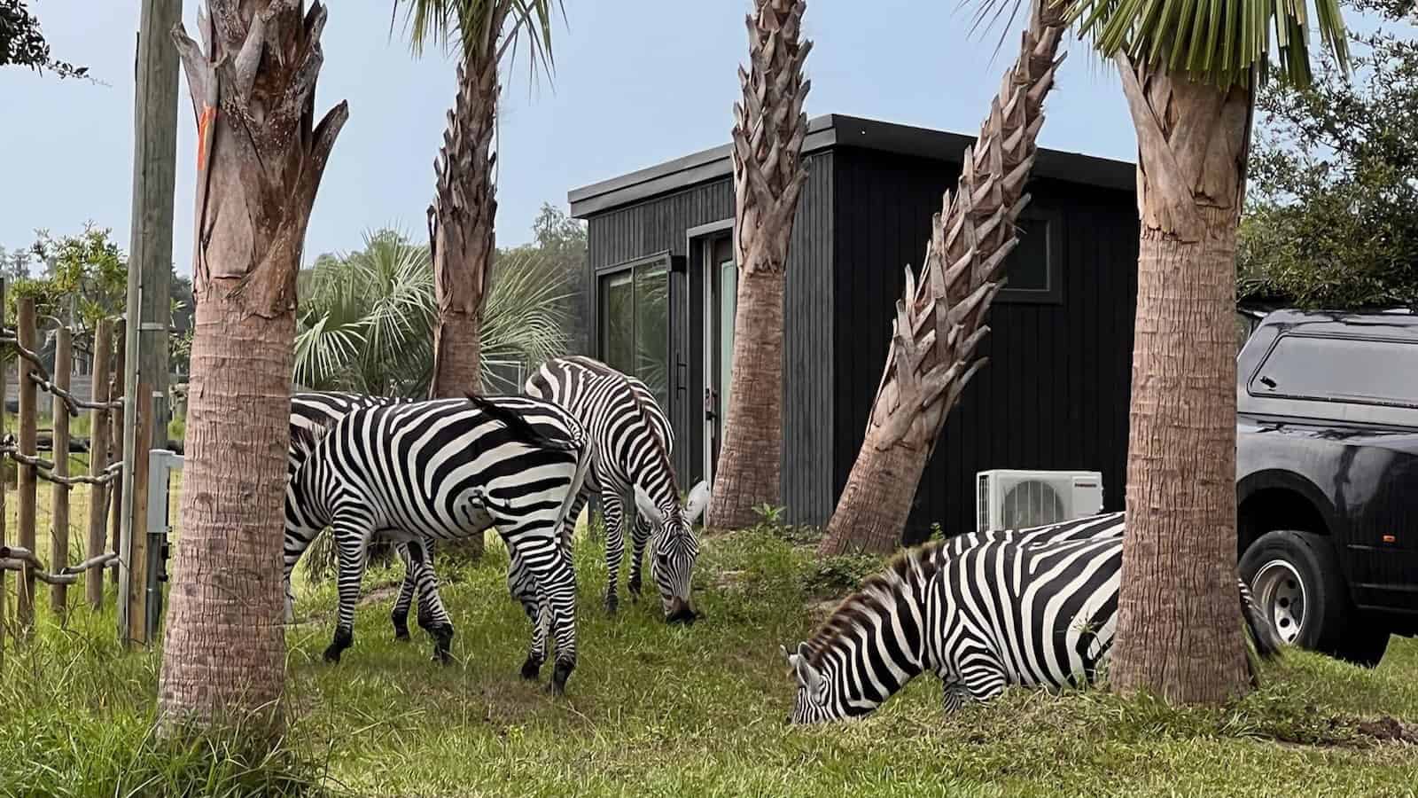 RV Review: ESCAPE tiny homes make unique RV alternative - RV Travel