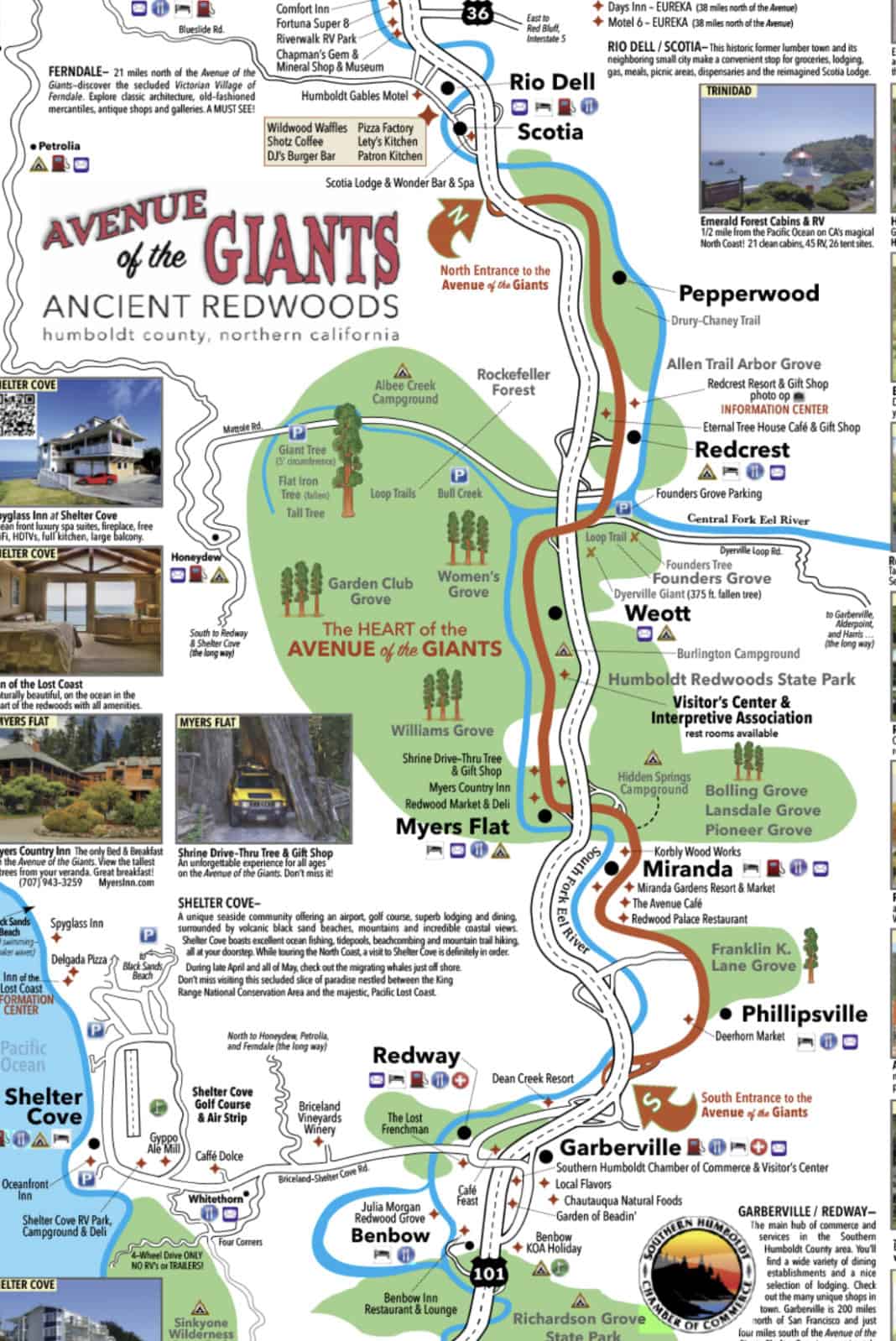 RVers' day touring the incredible Avenue of the Giants - RV Travel