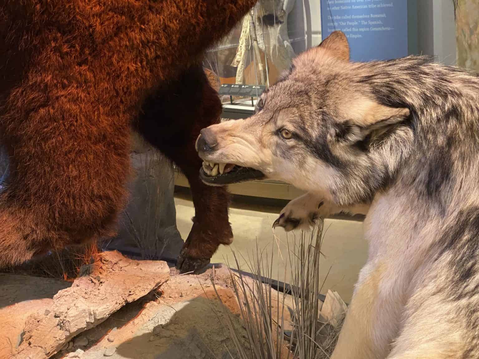 The Frontier Texas museum is a travel gem - RV Travel