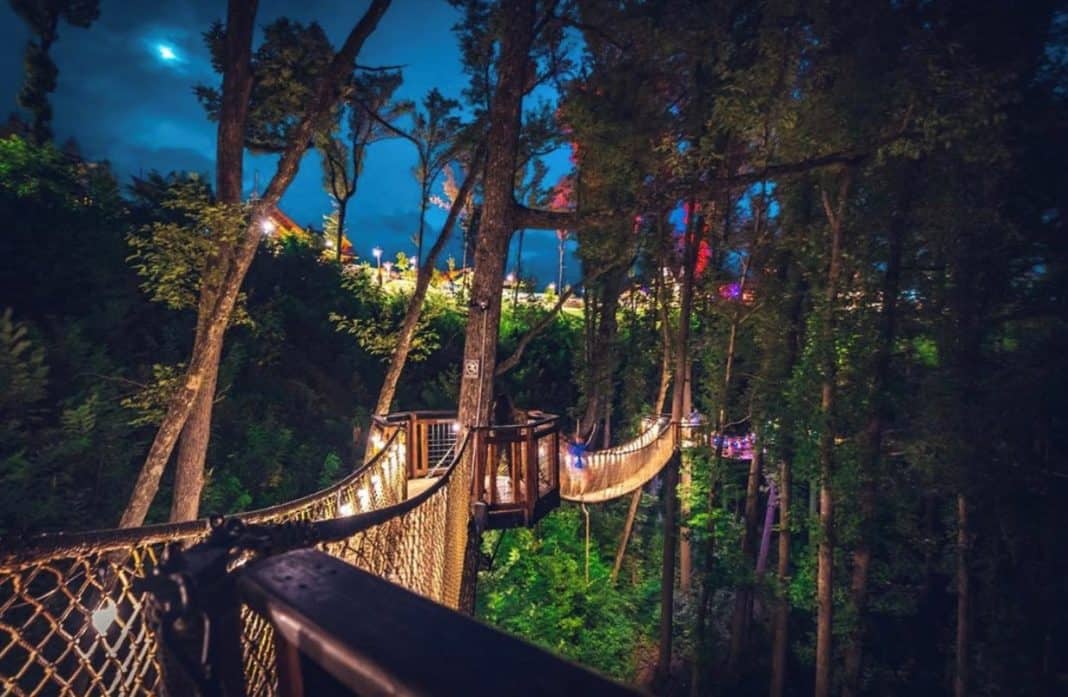 Visit Tennessee's incredible Treetop Skywalk for an unforgettable ...