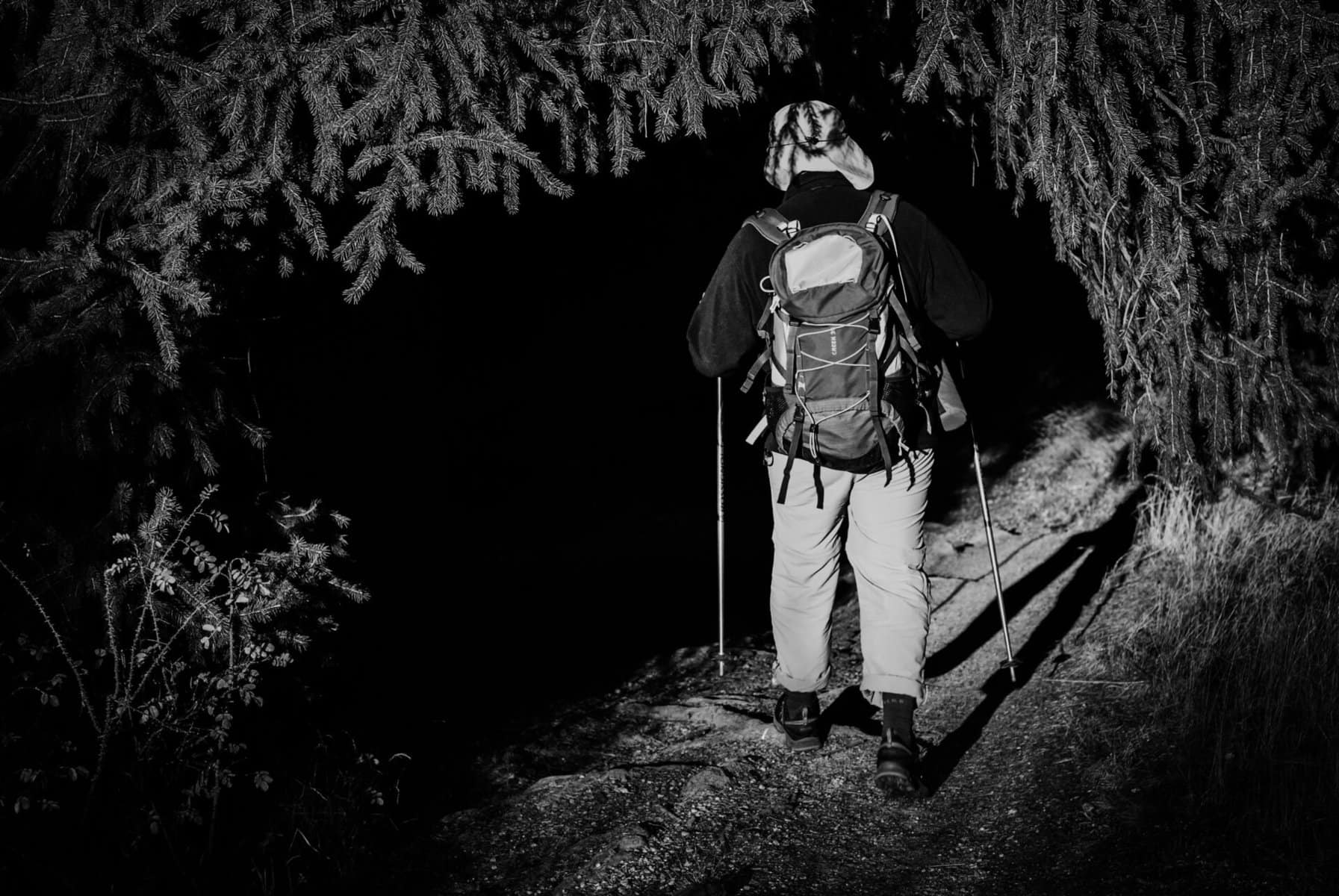 Take a ranger-led night hike. The views (and wildlife) are worth it ...