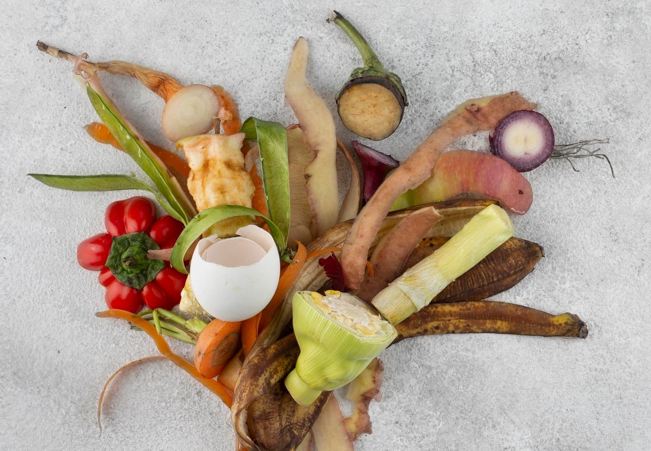 Proper handling of food scraps: What's the best way while RVing? - RV ...
