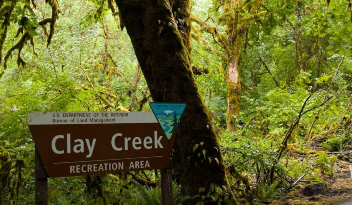 BLM campgrounds won't open for lack of hosts - RV Travel