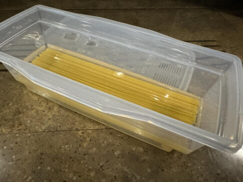 The 'Fasta Pasta' pasta cooker cooks pasta perfectly; minimal water and ...