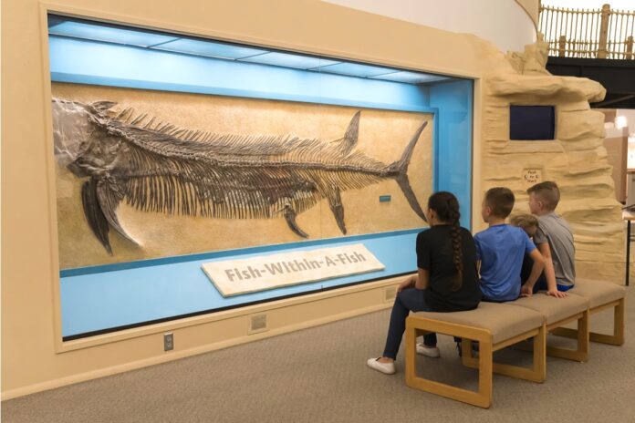 Kansas museum displays ancient two-fish-in-one - RV Travel