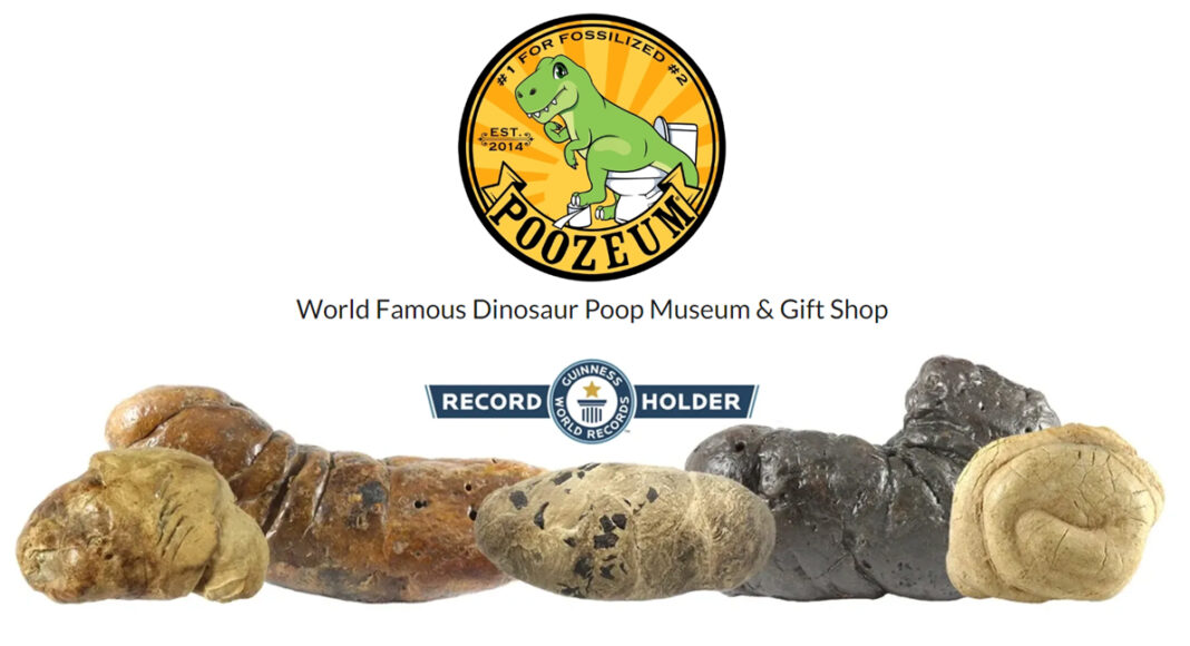 Travel plans? Don’t miss the brand-new poop museum! - RV Travel