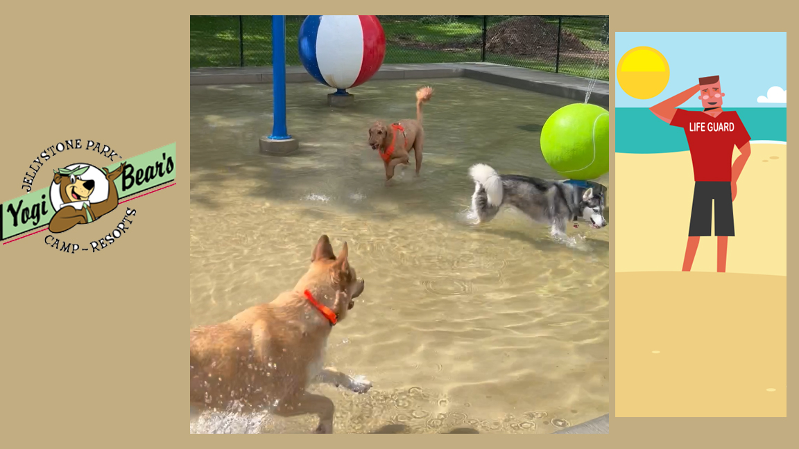 Ohio Jellystone Park becomes first in the country with full-scale dog ...
