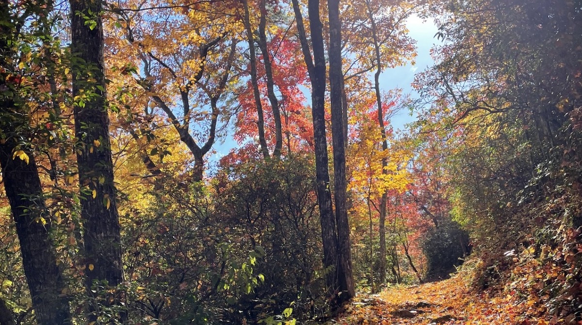 Fall colors bring traffic hassles to Great Smoky Mountains National Park