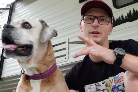 Best RV layouts for pets
