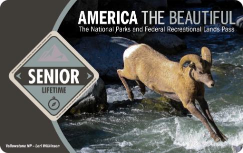 National Park Service announces 2026 fee-free entry days, changes who ...