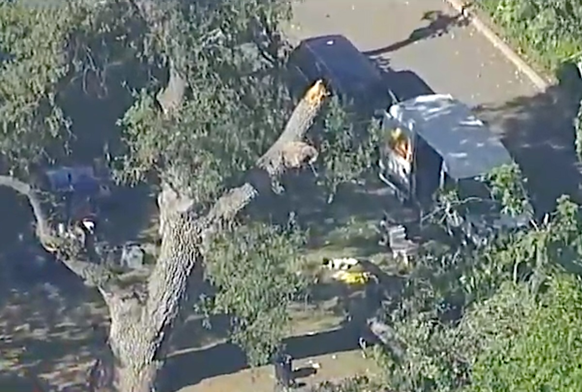 Boy dies in camp from falling oak tree branch