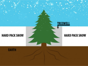 Tree wells are a hidden and deadly danger for those who spend time in snow